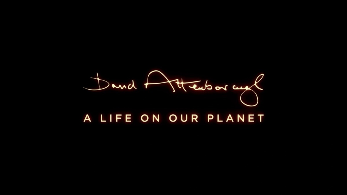 David Attenborough: A Life on Our Planet now on Netflix – Charles Dyer